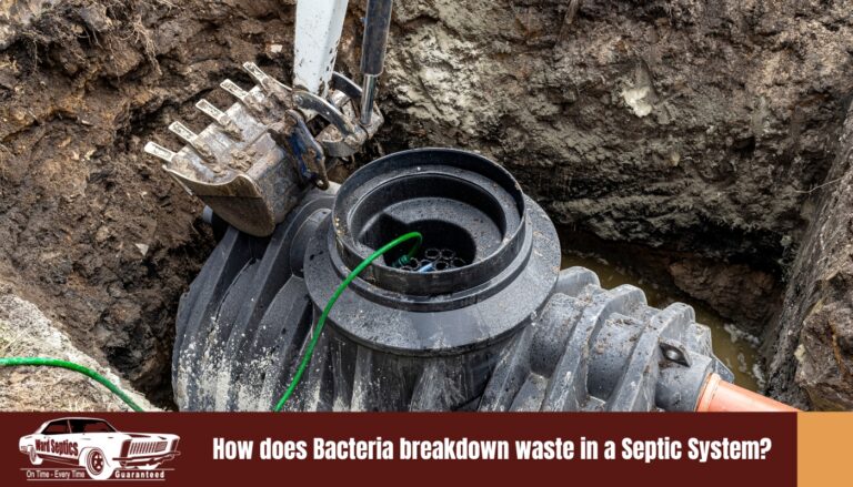 Expert Care for a Healthy Septic Tank
