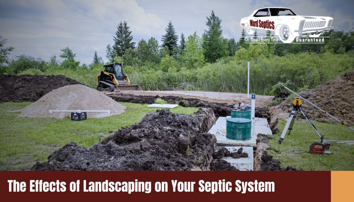 The Effects of Landscaping on Your Septic System - Ward Septics