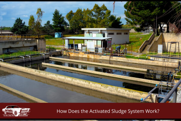 Activated Sludge vs Extended Aeration - NSW Septic Experts